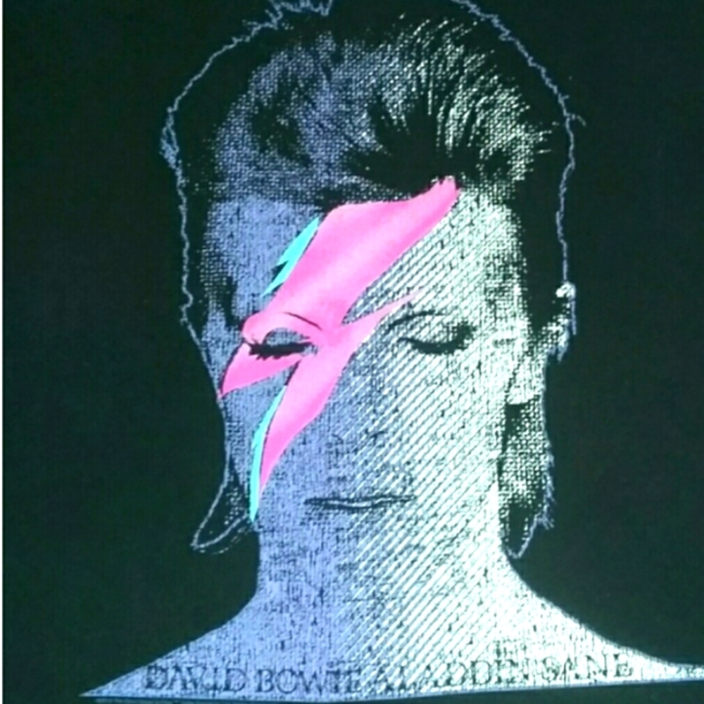 2013 David Bowie Aladdin Sane Ziggy Stardust Vintage … - Gem